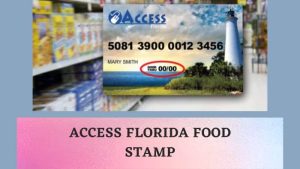 My Access Florida - You Login to Access Florida