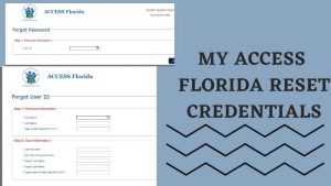 ACCESS Florida: Everything you need to manage your benefits with My ...